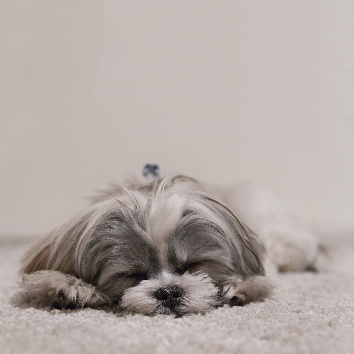 Responsive Image Zoom Effect on Hover (or touch) in Javascript – Drift ...